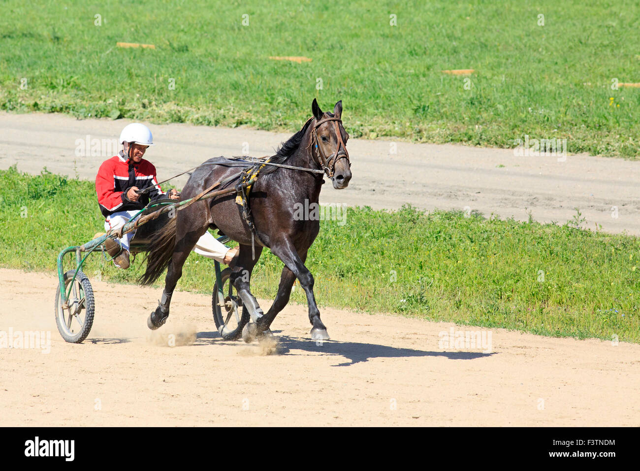 Harness trotting race racing driver sulky hi-res stock photography and ...
