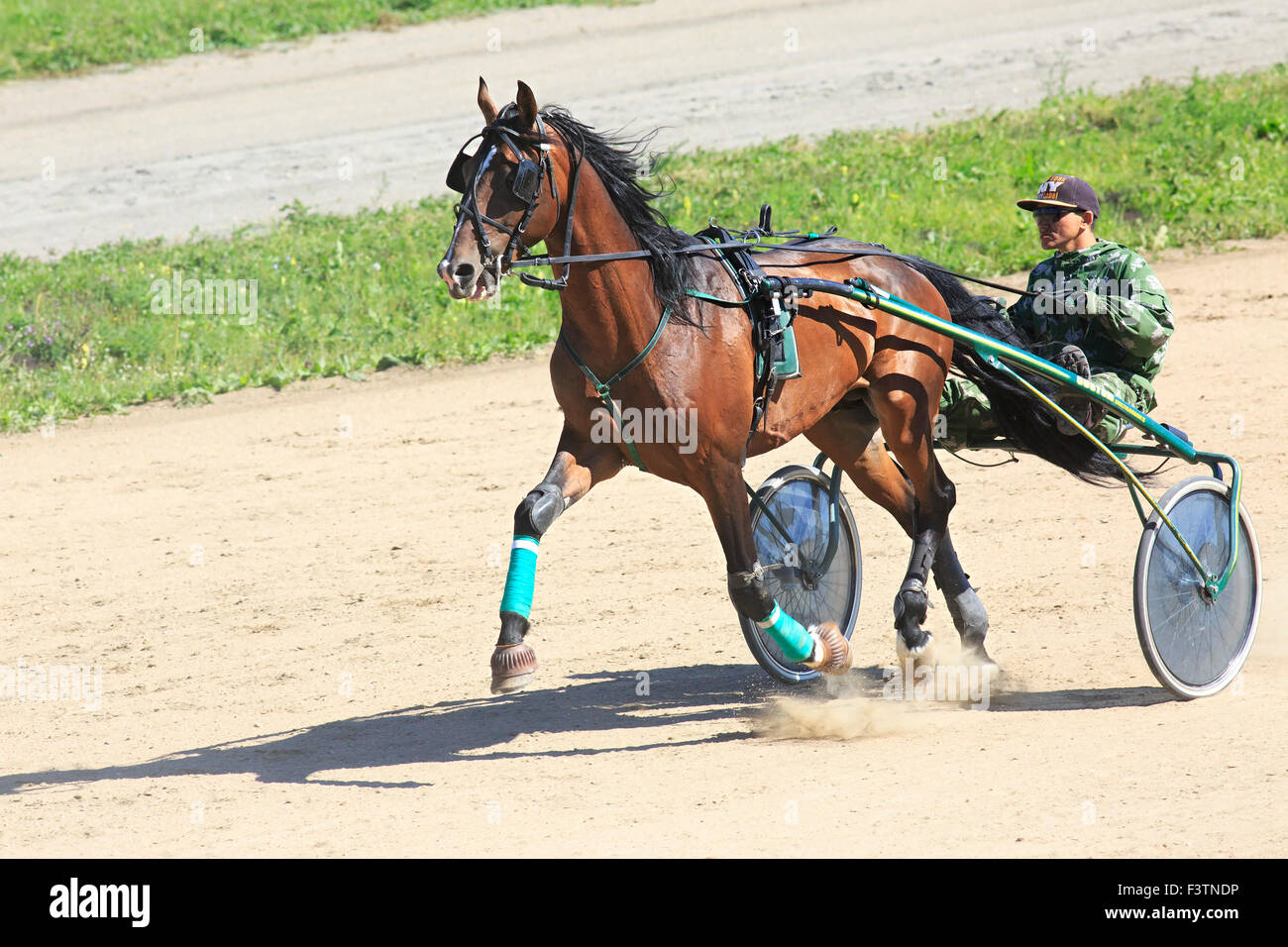 Trotting Races at the Hippodrome Sibirskoe podvorie Stock Photo - Alamy