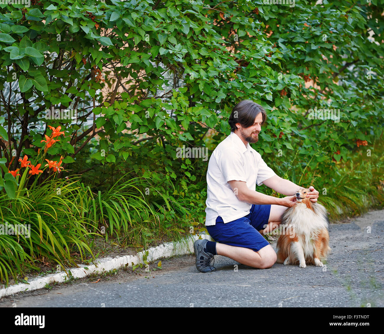 Man walking with sheepdog hi-res stock photography and images - Alamy