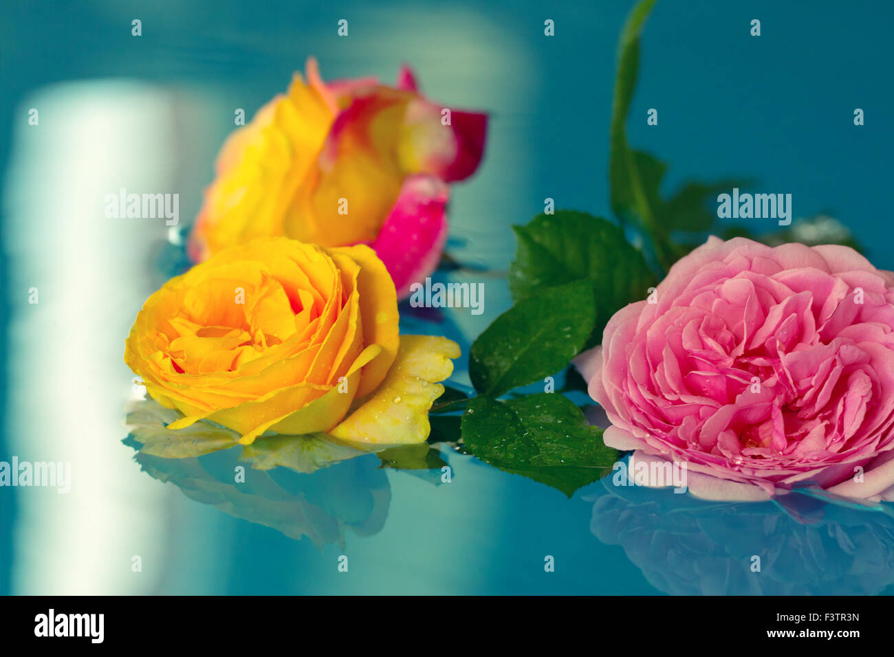 Bouquet of roses in a water Stock Photo - Alamy
