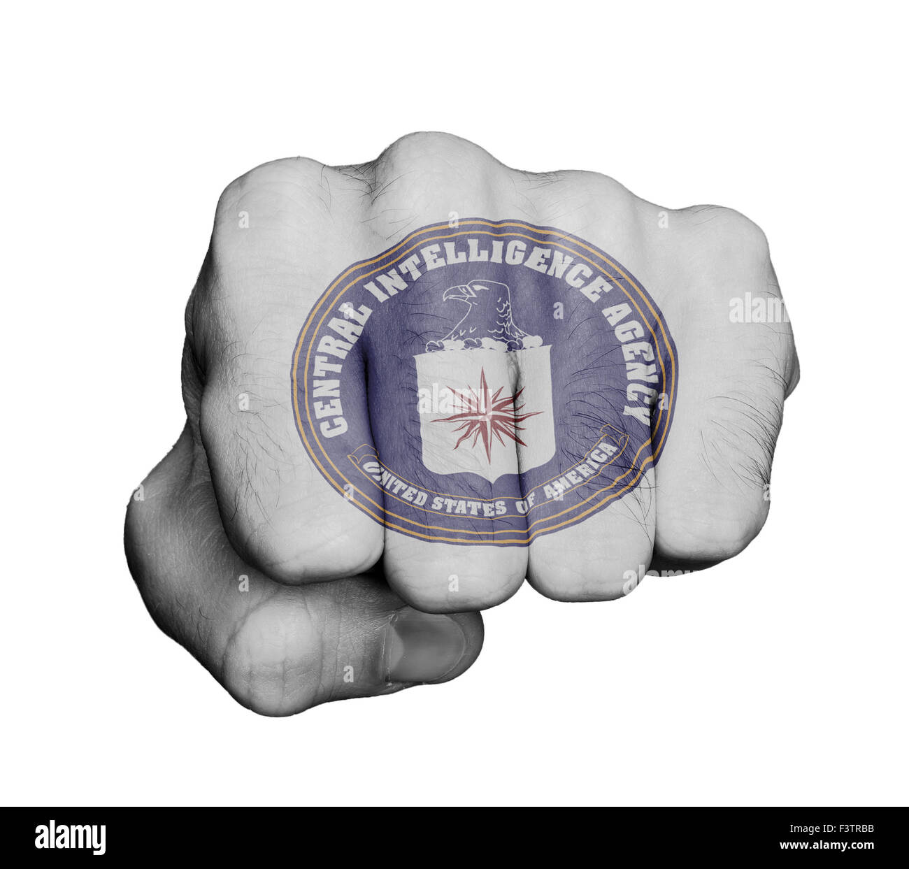 Very hairy knuckles from the fist of a man punching Stock Photo - Alamy