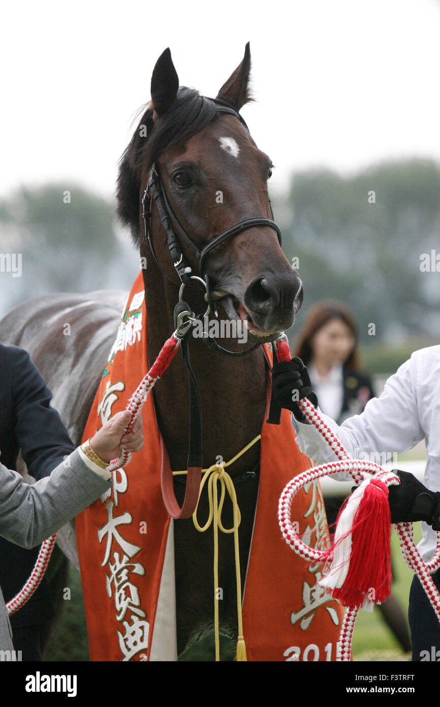 Kyoto, Japan. 12th Oct, 2015. Lovely Day Horse Racing : Lovely Day ...