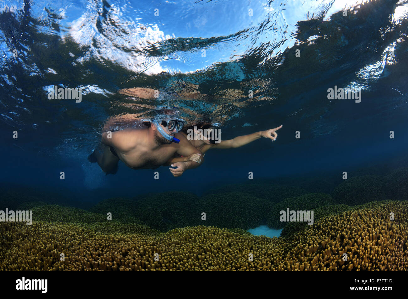 Young beautiful couple floating above a coral reef, Indian Ocean ...