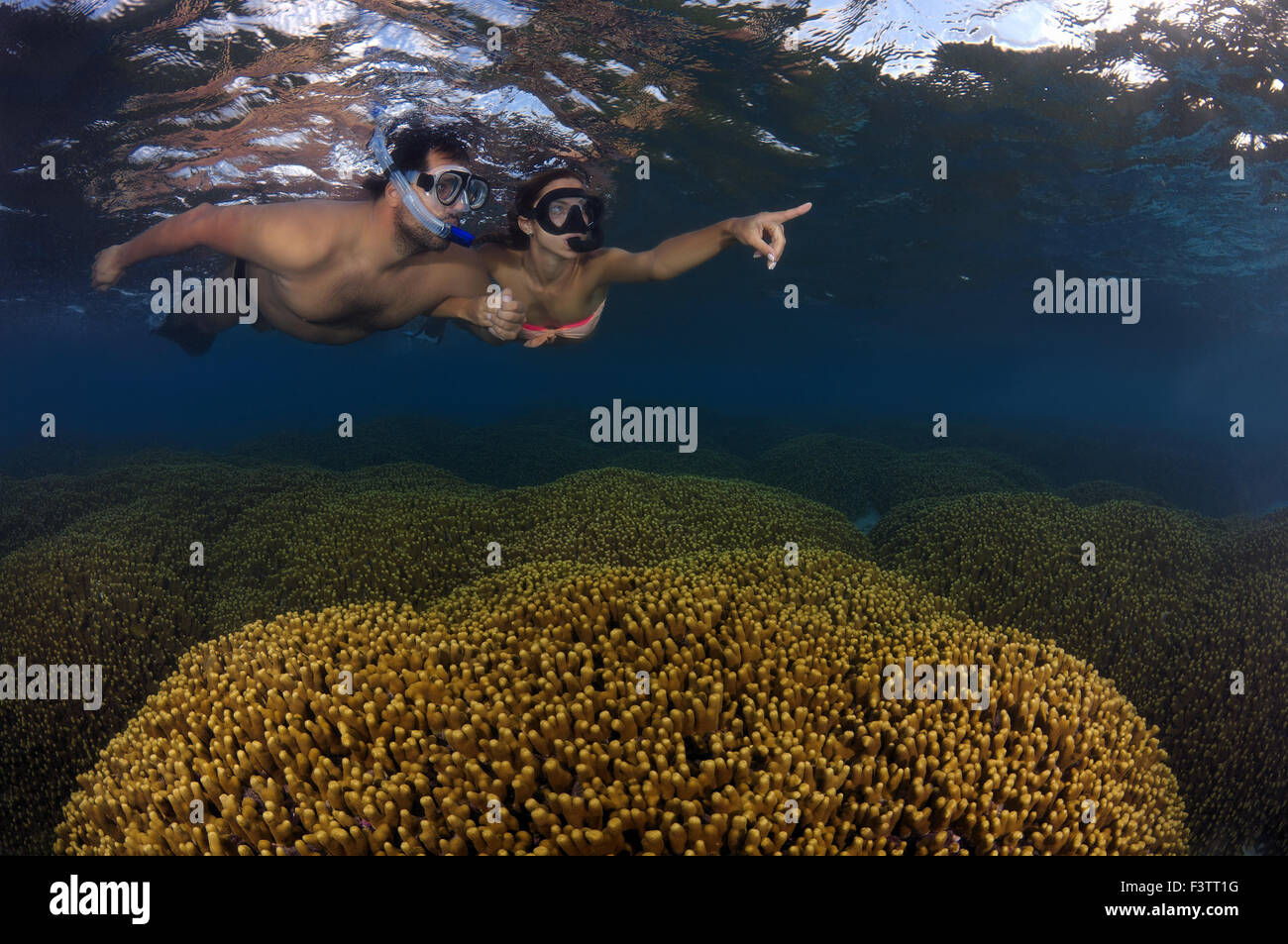 Young beautiful couple floating above a coral reef, Indian Ocean ...