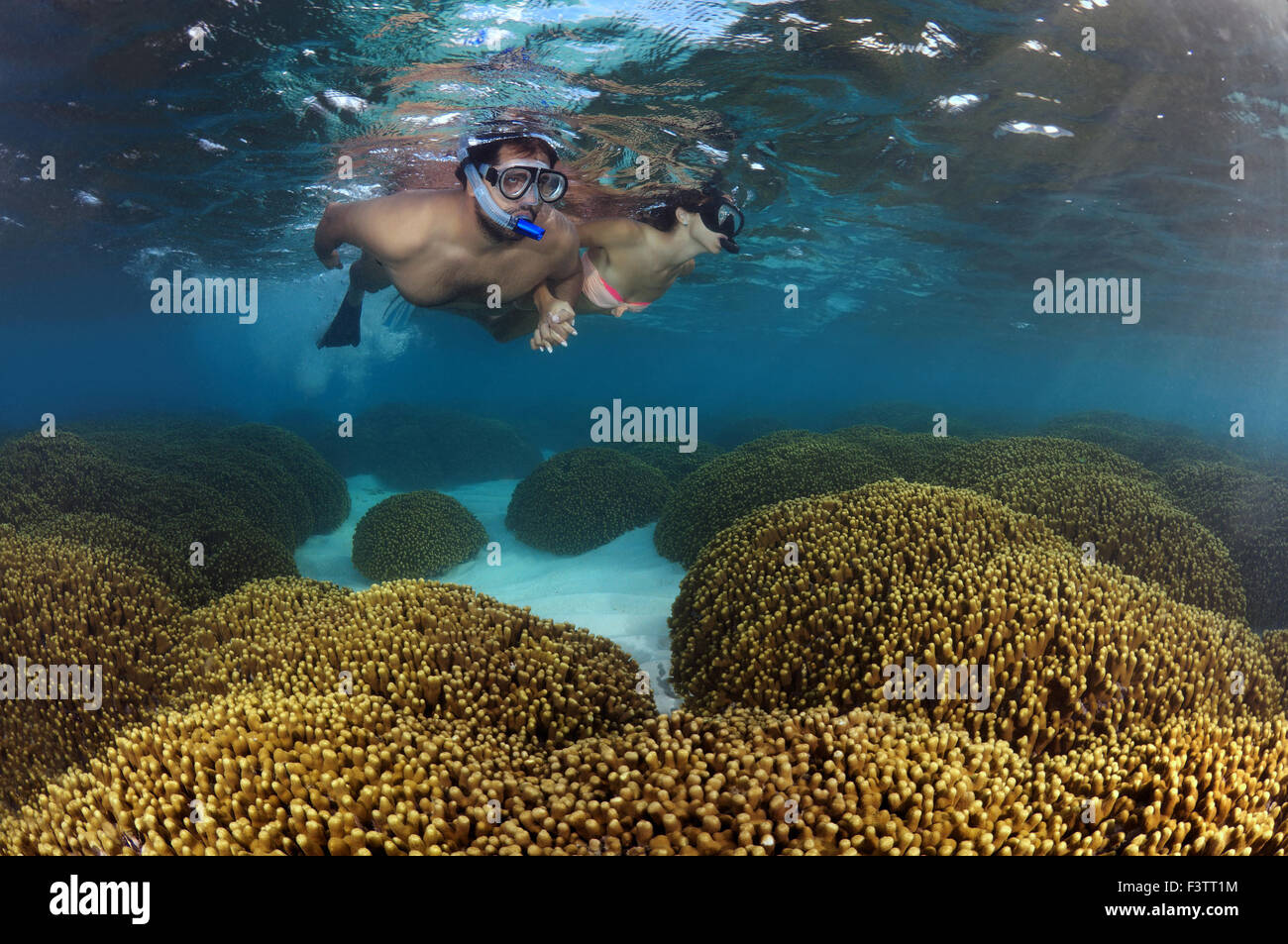 Young beautiful couple floating above a coral reef, Indian Ocean ...