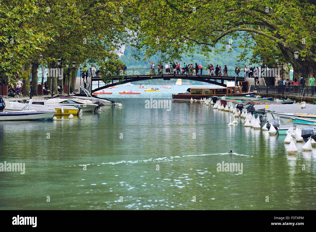 Tree town landscape boat hi-res stock photography and images - Alamy