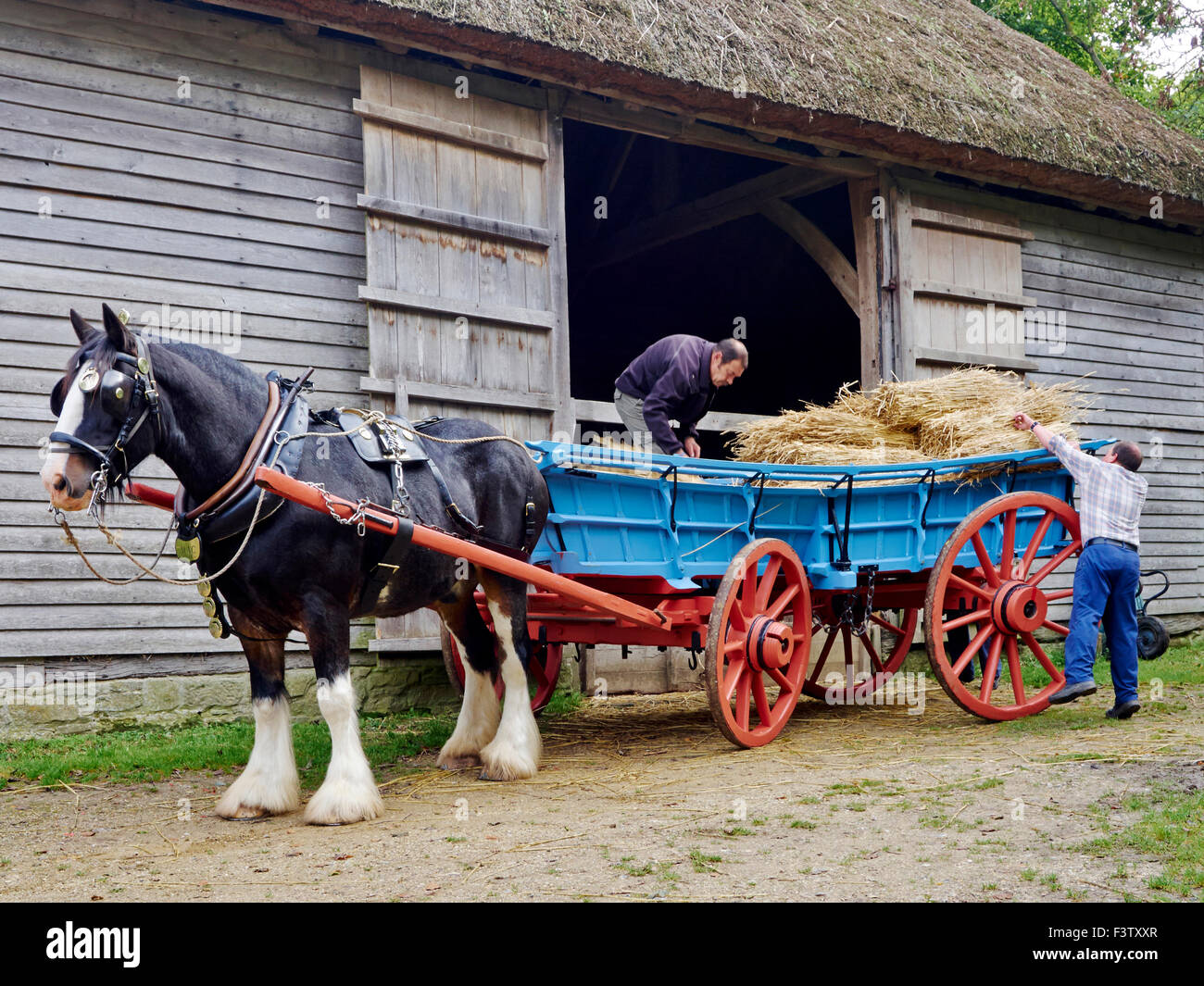 Horse Drawn Wagon