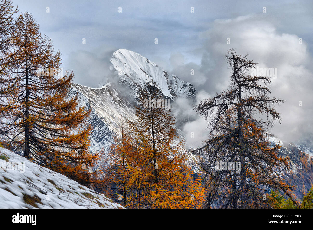 autumn landscape in the Alps Stock Photo - Alamy