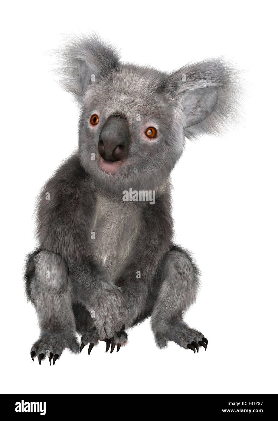 3D digital render of a cute koala sitting isolated on white background ...