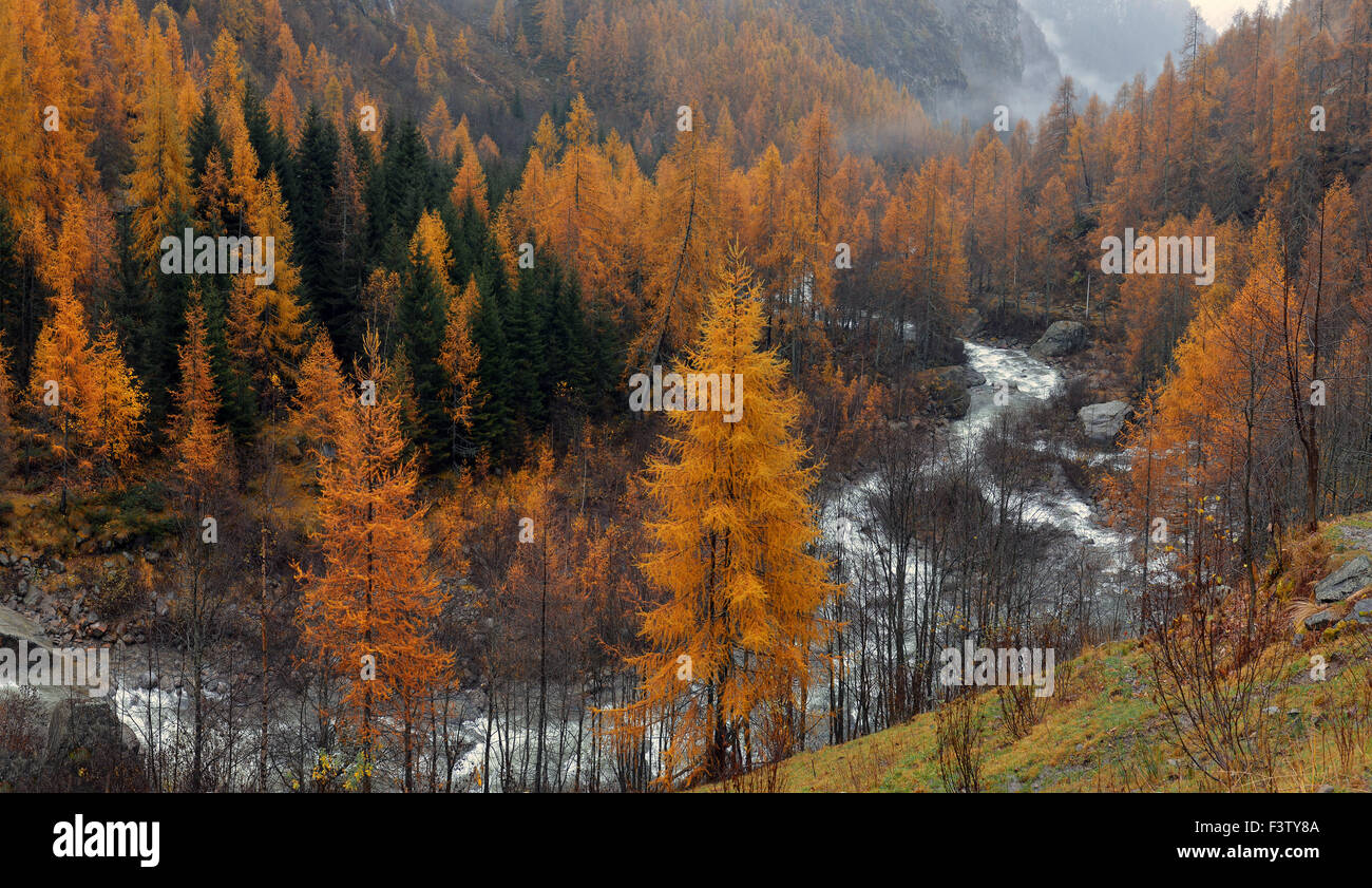 autumn landscape in the Alps Stock Photo - Alamy