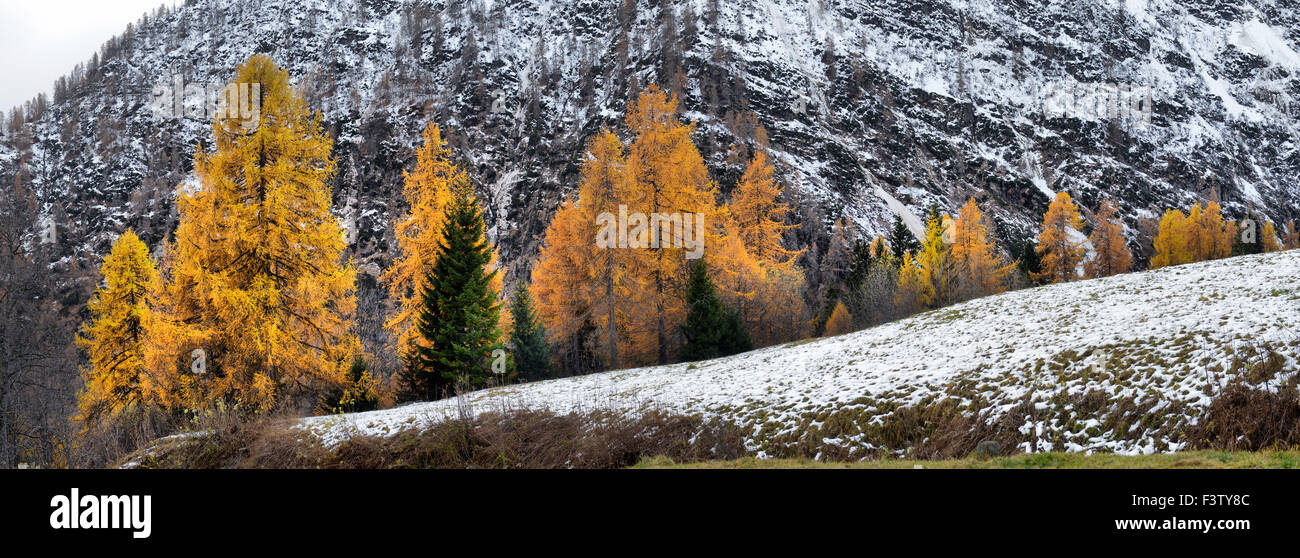 autumn landscape in the Alps Stock Photo - Alamy