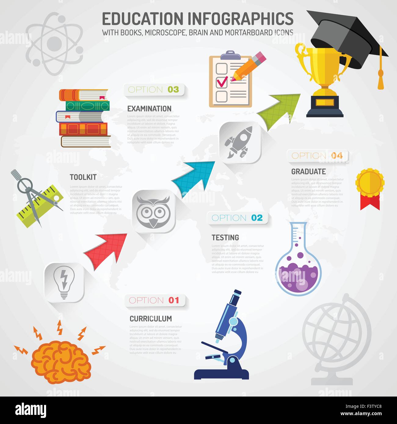 Education Infographic Poster