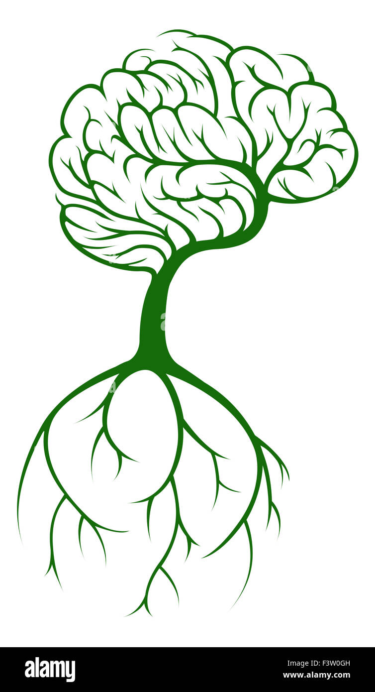 Brain tree concept of a tree growing in the shape of a human brain ...