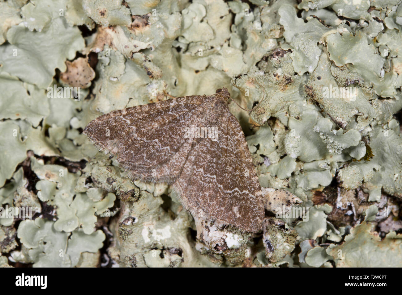 Cataclysme hi-res stock photography and images - Alamy