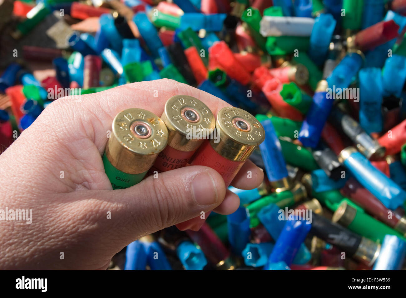 Hunting shotgun cartridges Stock Photo - Alamy