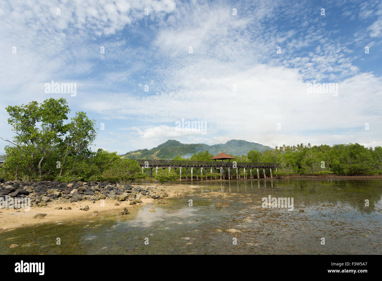 Traditional Indonesian landscape with mangrove and walkway, Sulawesi ...