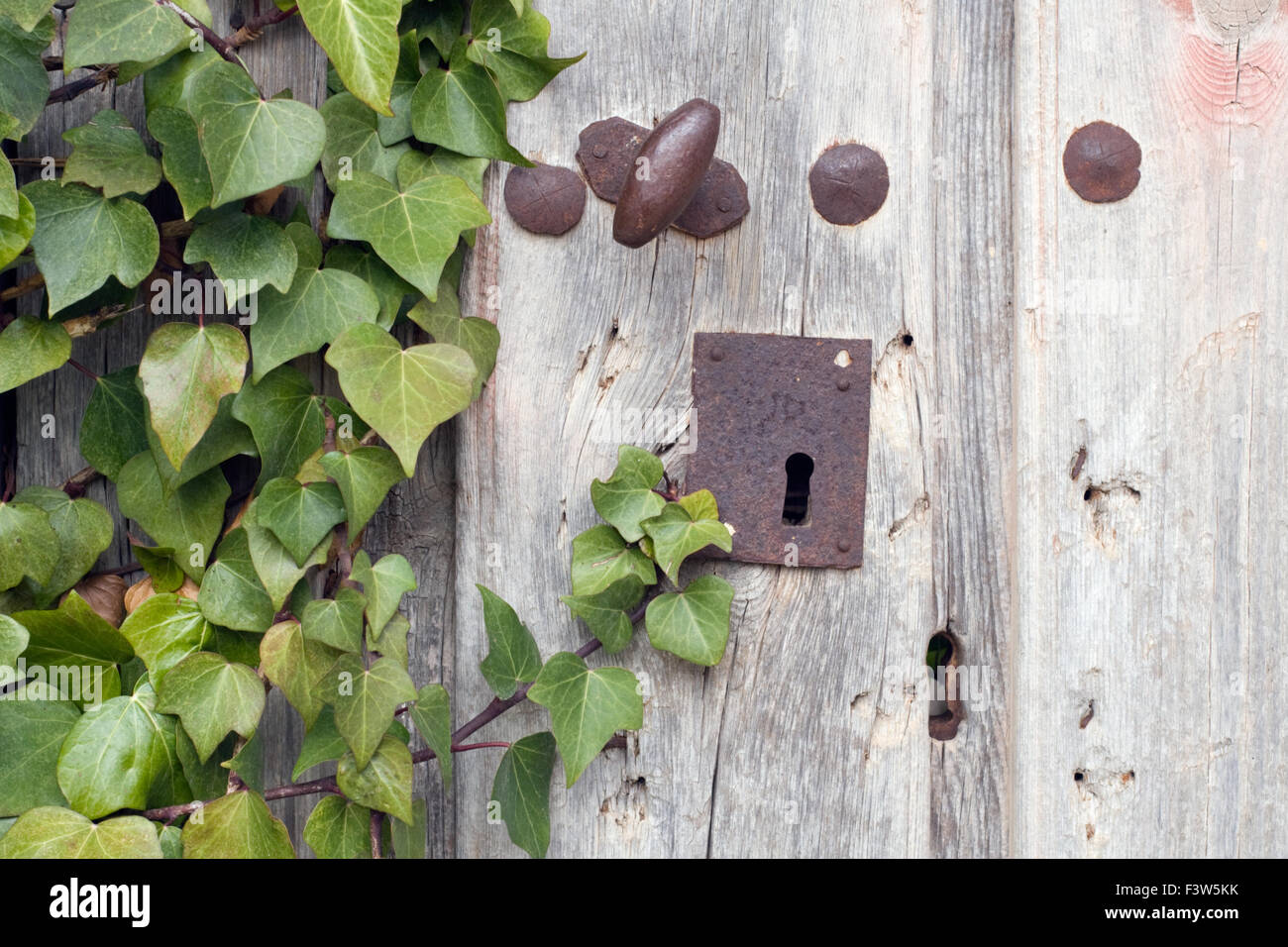 Green keyhole hi-res stock photography and images - Alamy