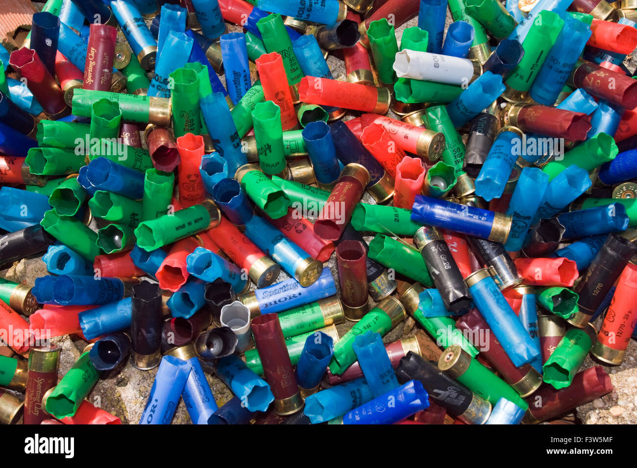 Hunting shotgun cartridges Stock Photo - Alamy