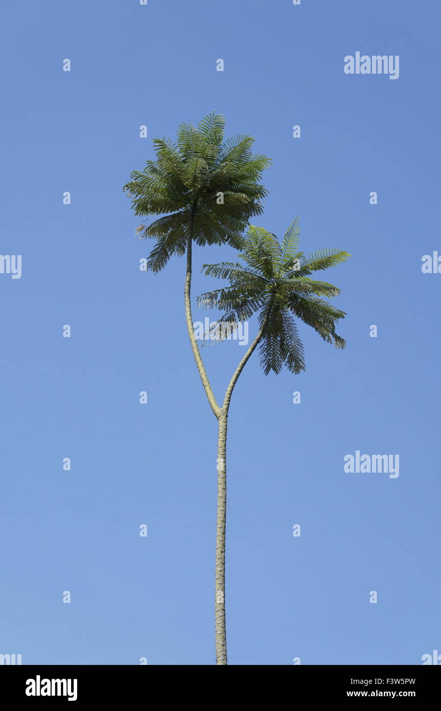 Forking hi-res stock photography and images - Alamy