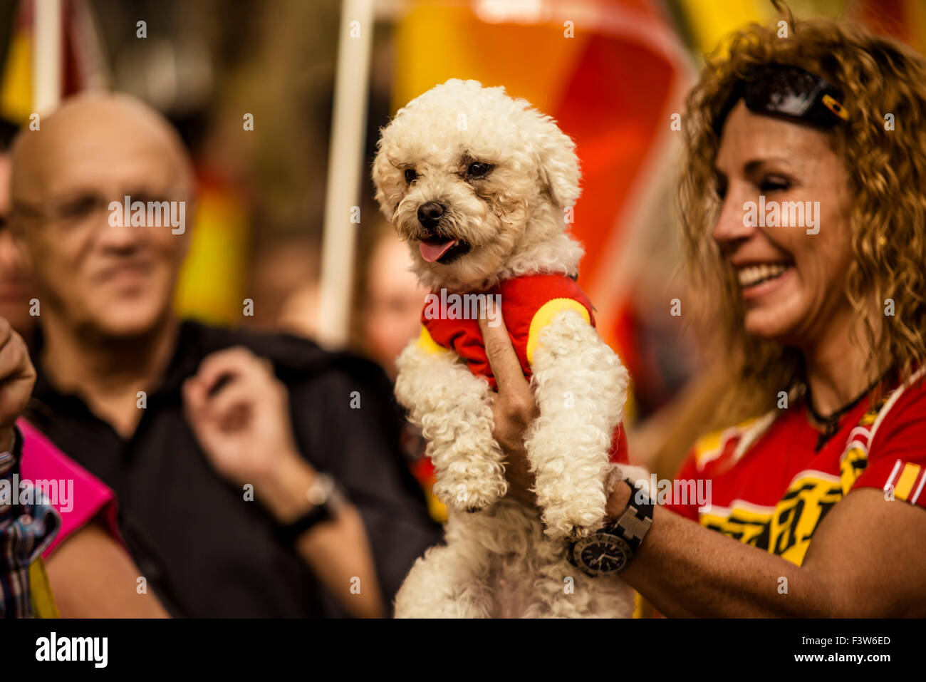 Barcelona, Spain. 12th Oct, 2015. A poodle wears a Spanish shirt as his ...