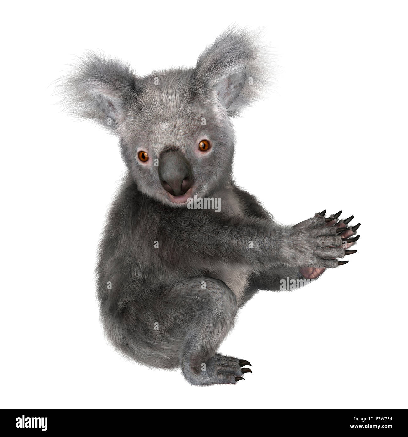 3D digital render of a cute koala isolated on white background Stock ...