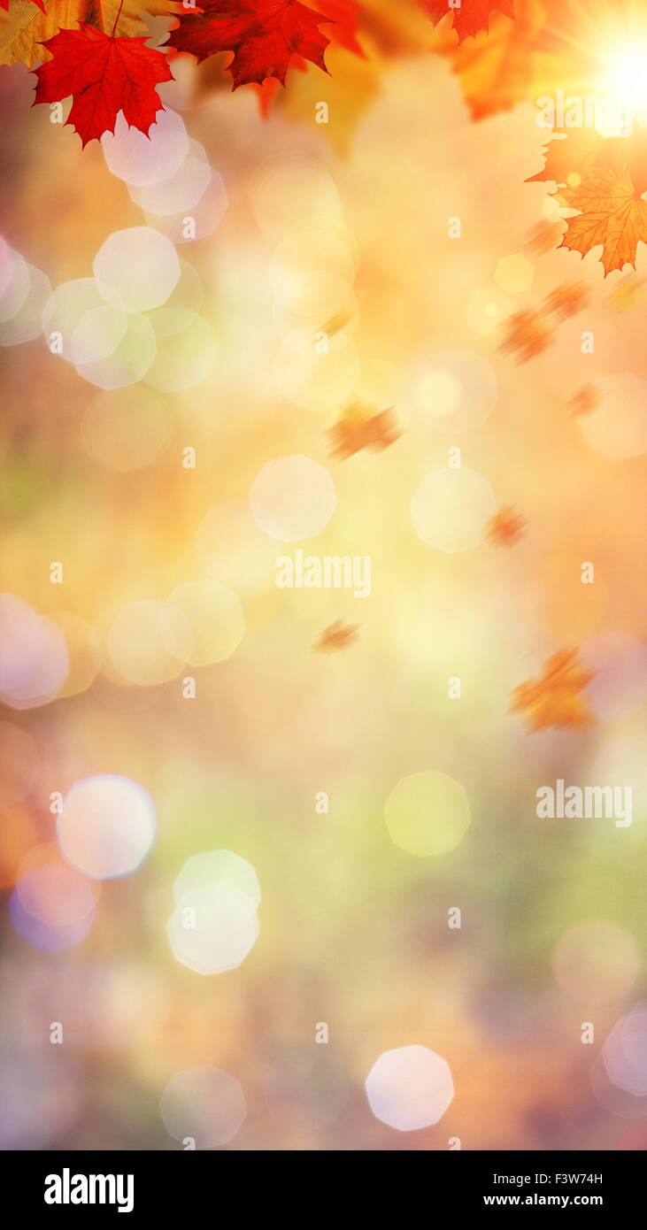 Autumnal fall in the forest, abstract environmental backgrounds Stock ...