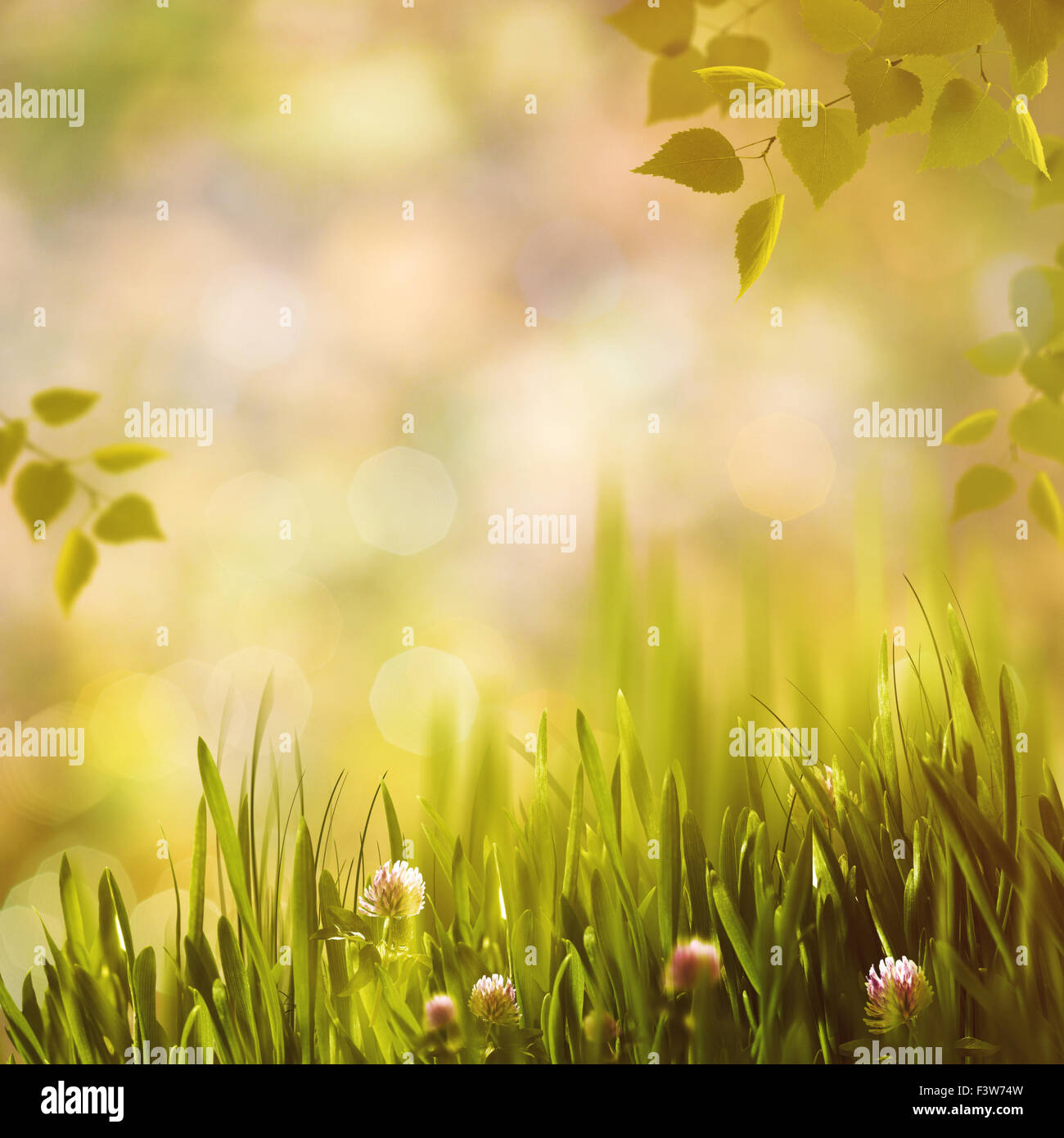 Autumnal shiny day in the forest, abstract environmental backgrounds ...