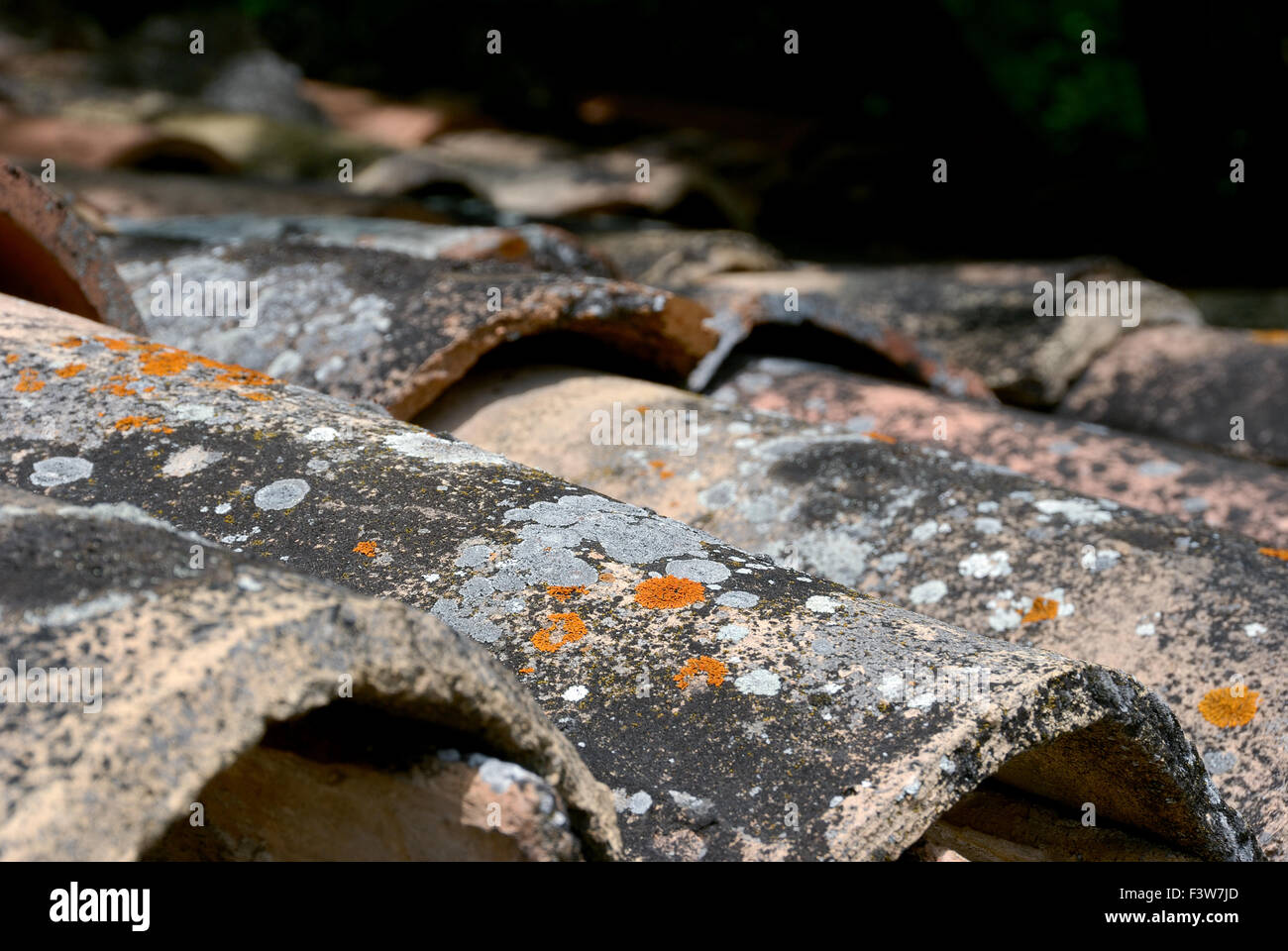 Tongiebel hi-res stock photography and images - Alamy