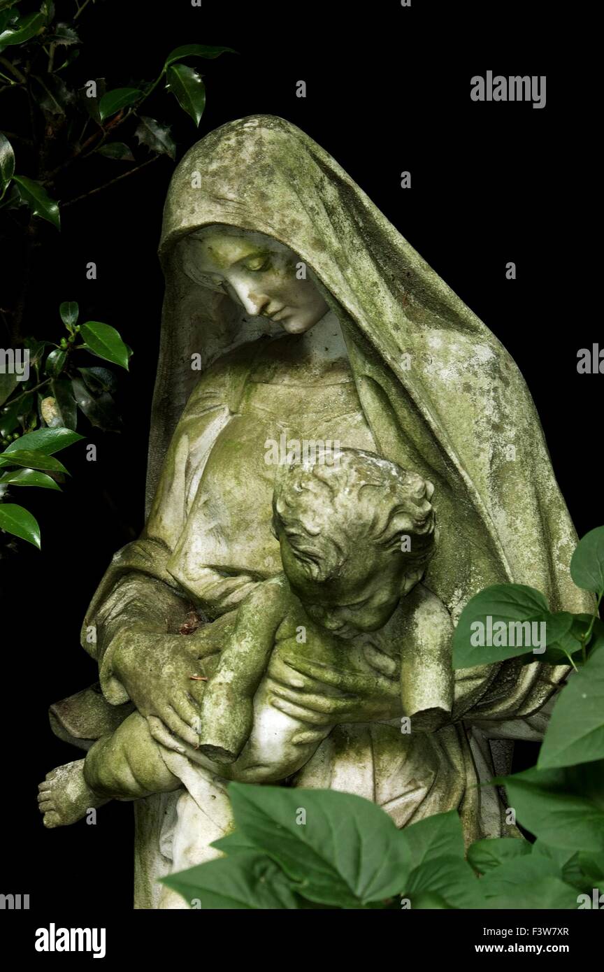 Lebenszyklus High Resolution Stock Photography and Images - Alamy