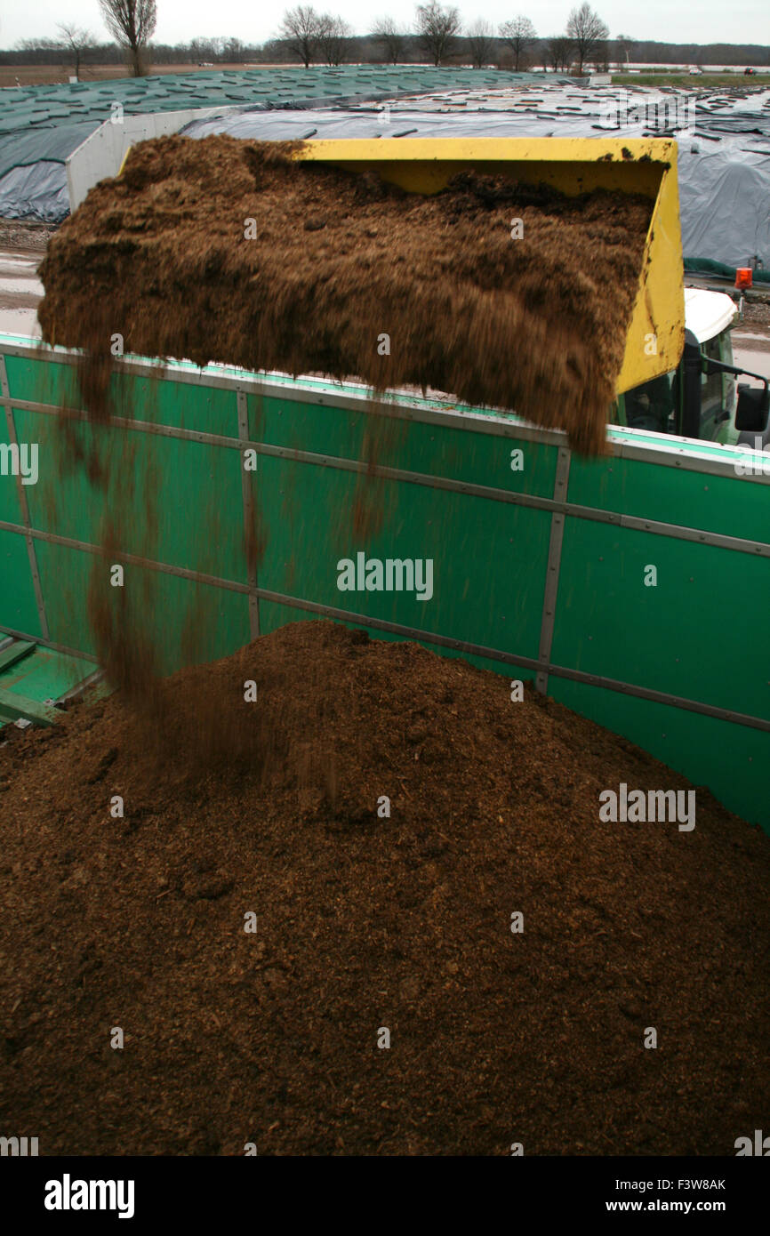 Corn silage biogas production hi-res stock photography and images - Alamy