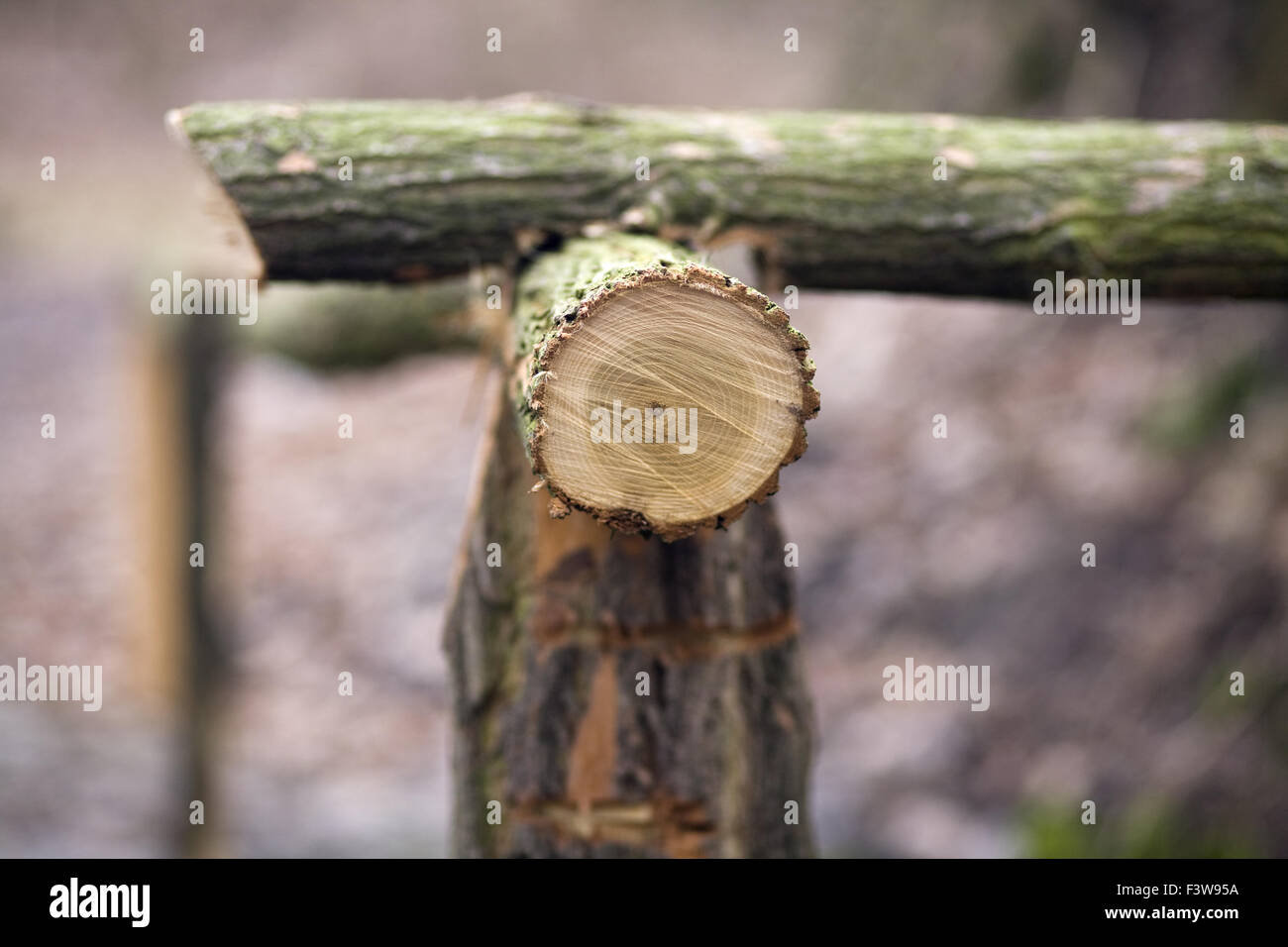 Blocked with wood and plaster or putty hi-res stock photography and ...