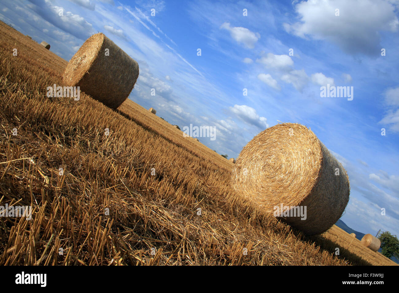 Strawclenches hi-res stock photography and images - Alamy