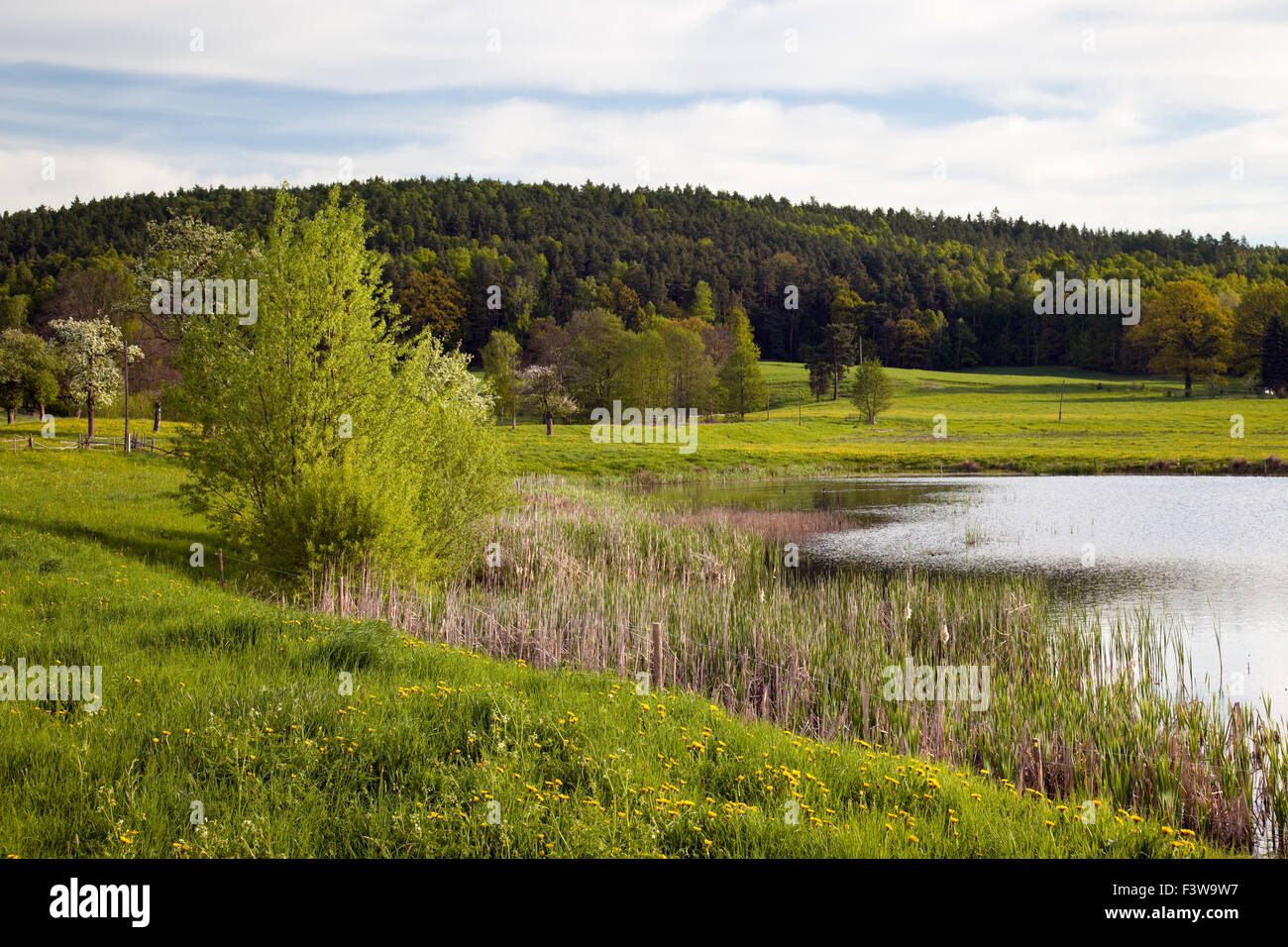 idyllic landscape in Thuringia, Germany Stock Photo - Alamy