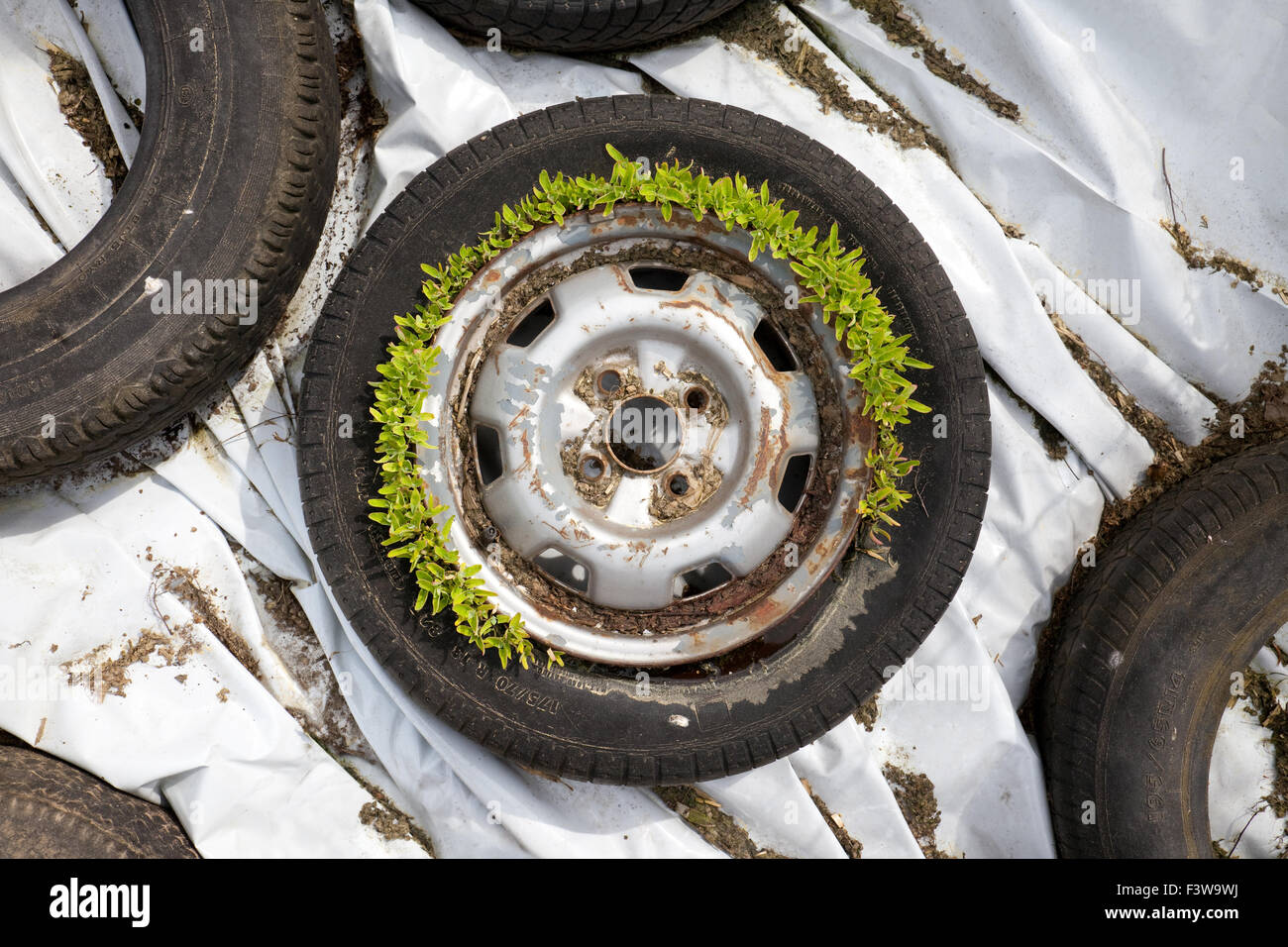 Green Tyres High Resolution Stock Photography and Images - Alamy