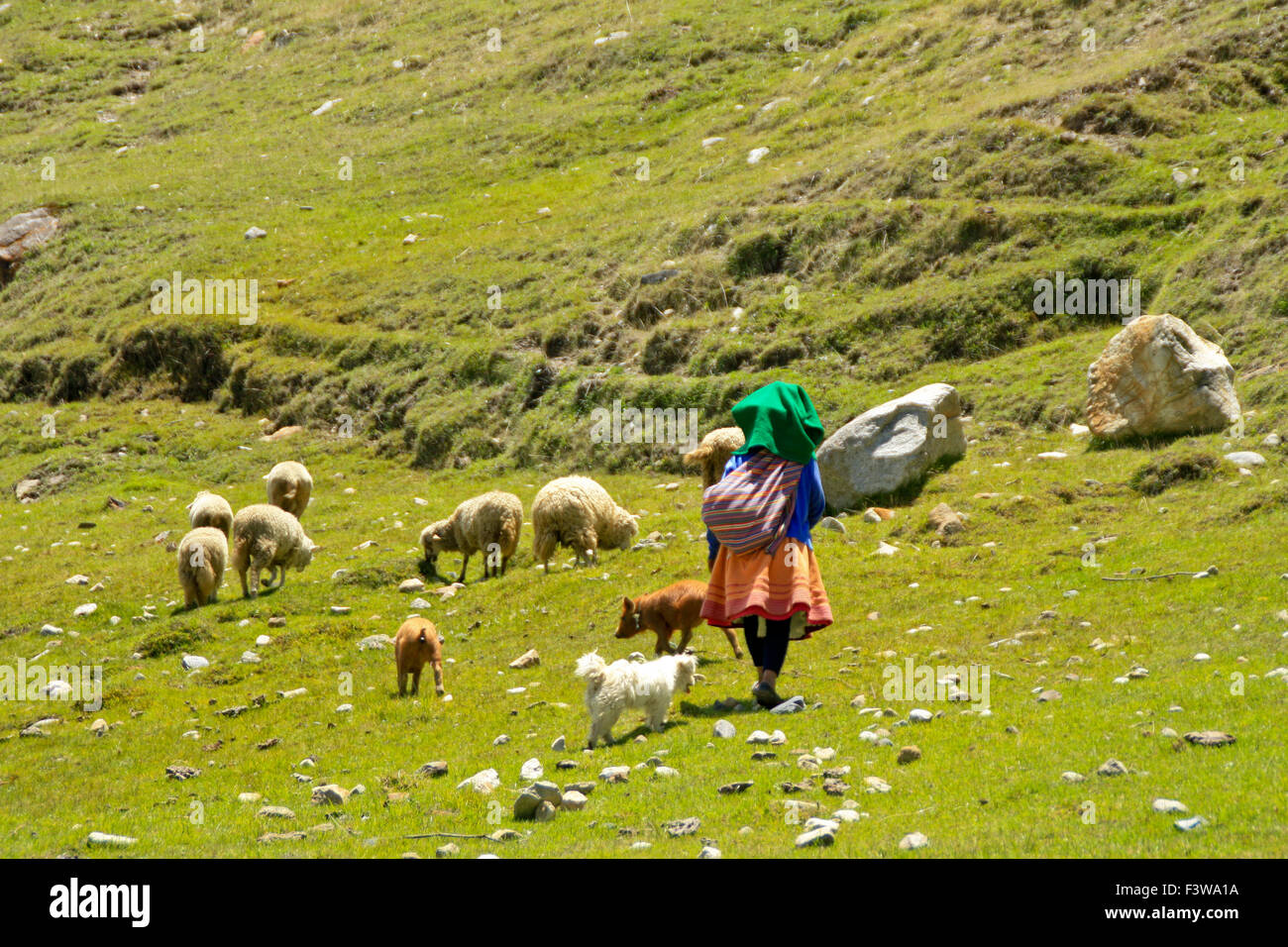 Andes farmer hi-res stock photography and images - Alamy
