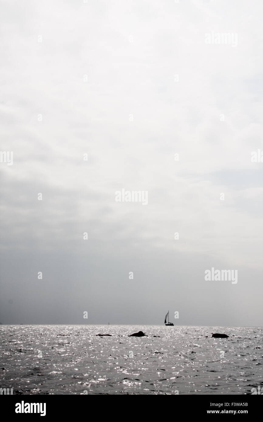 Reflex marine hi-res stock photography and images - Alamy