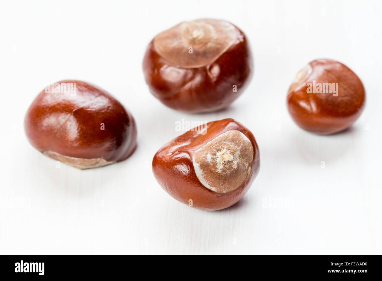 Fruit chestnut on a white wooden background Stock Photo - Alamy