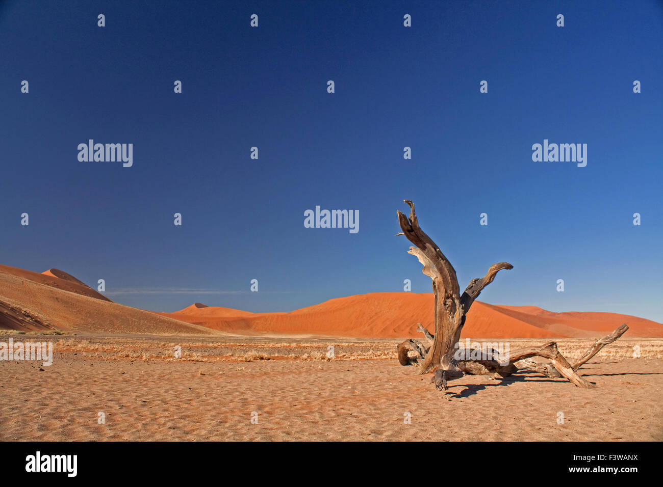 Landscape in namibia Stock Photo - Alamy