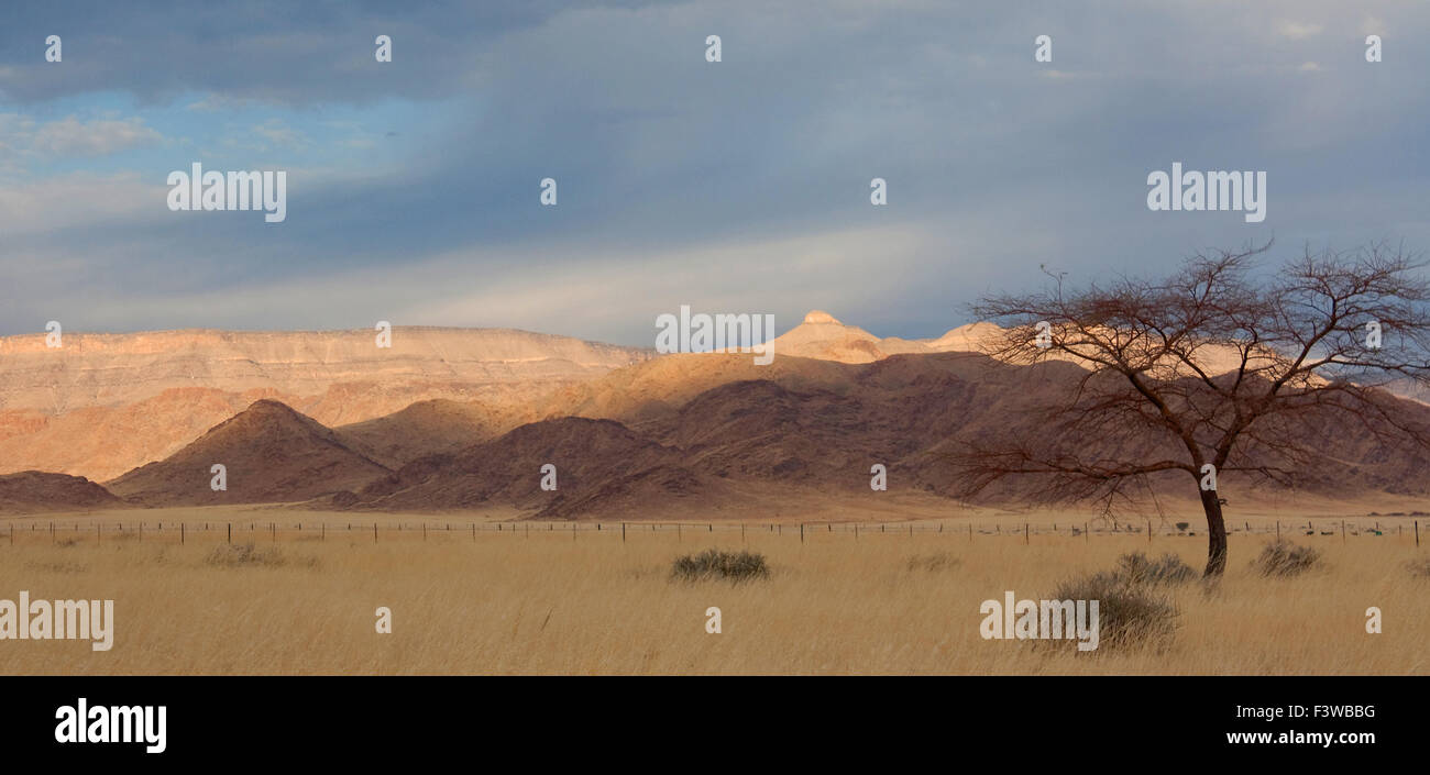 Landscape in namibia Stock Photo - Alamy