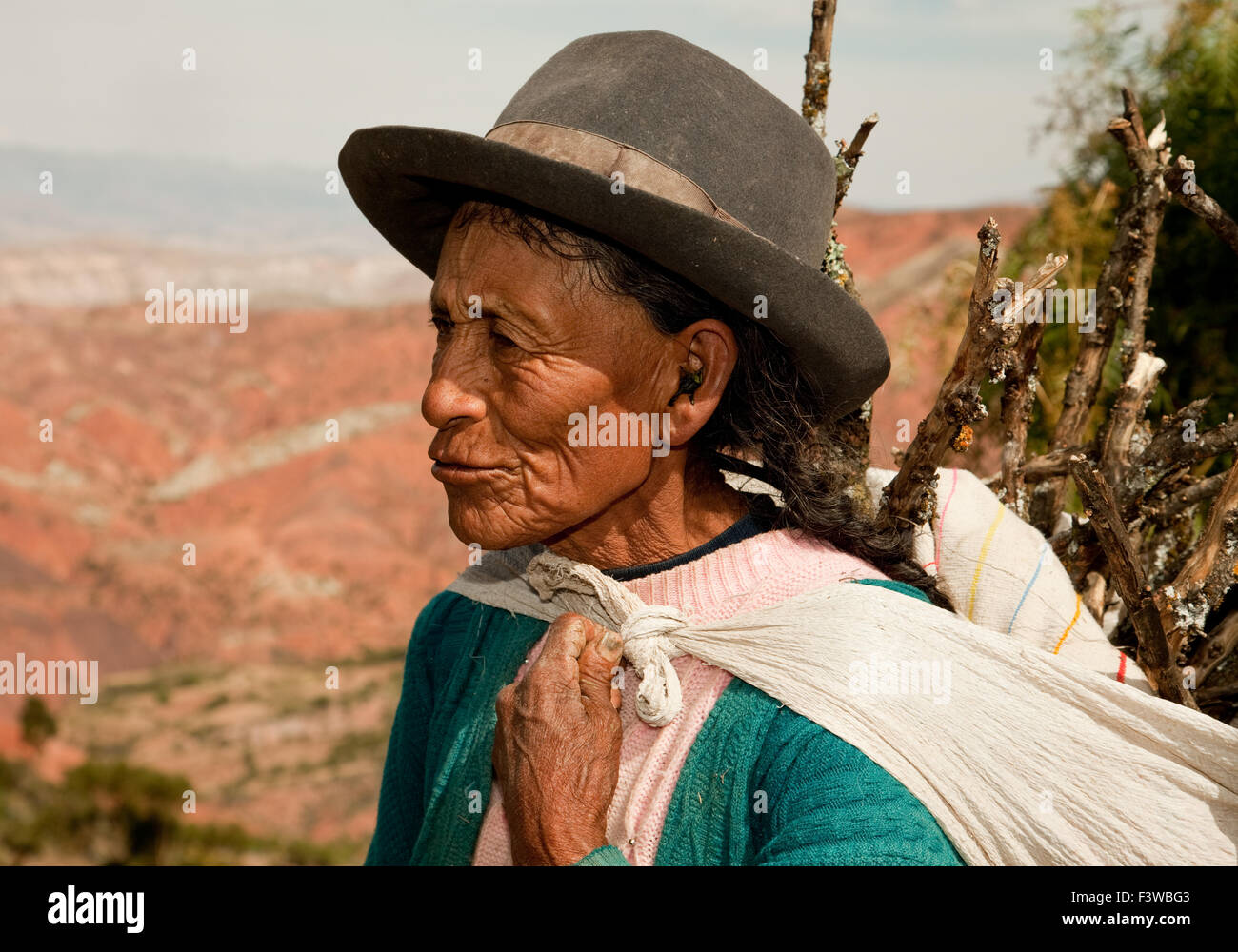 Woman In Peru Stock Photo - Alamy