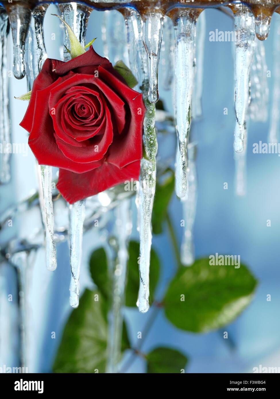 Spring at last Stock Photo - Alamy