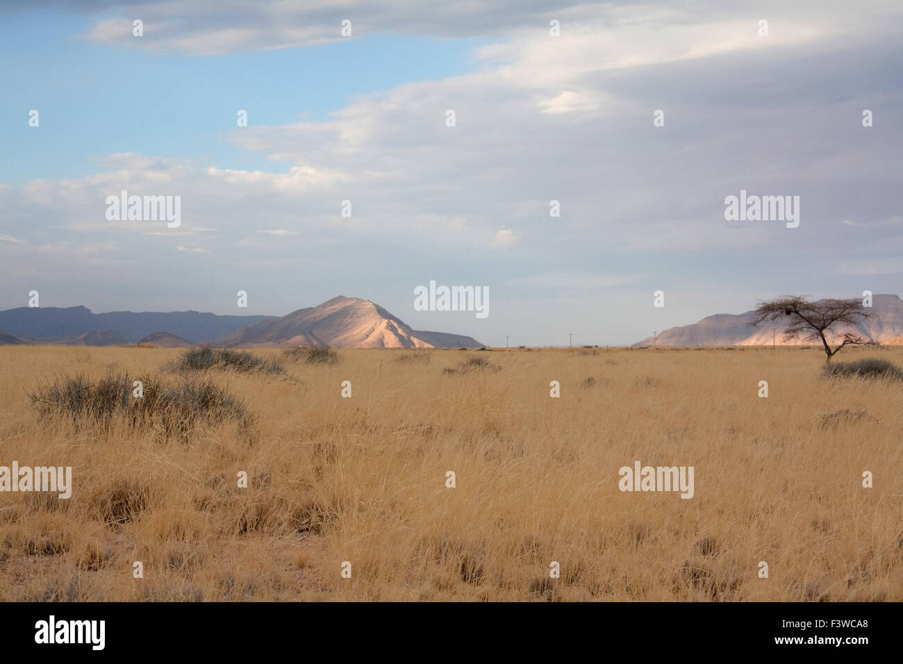 Landscape in namibia Stock Photo - Alamy