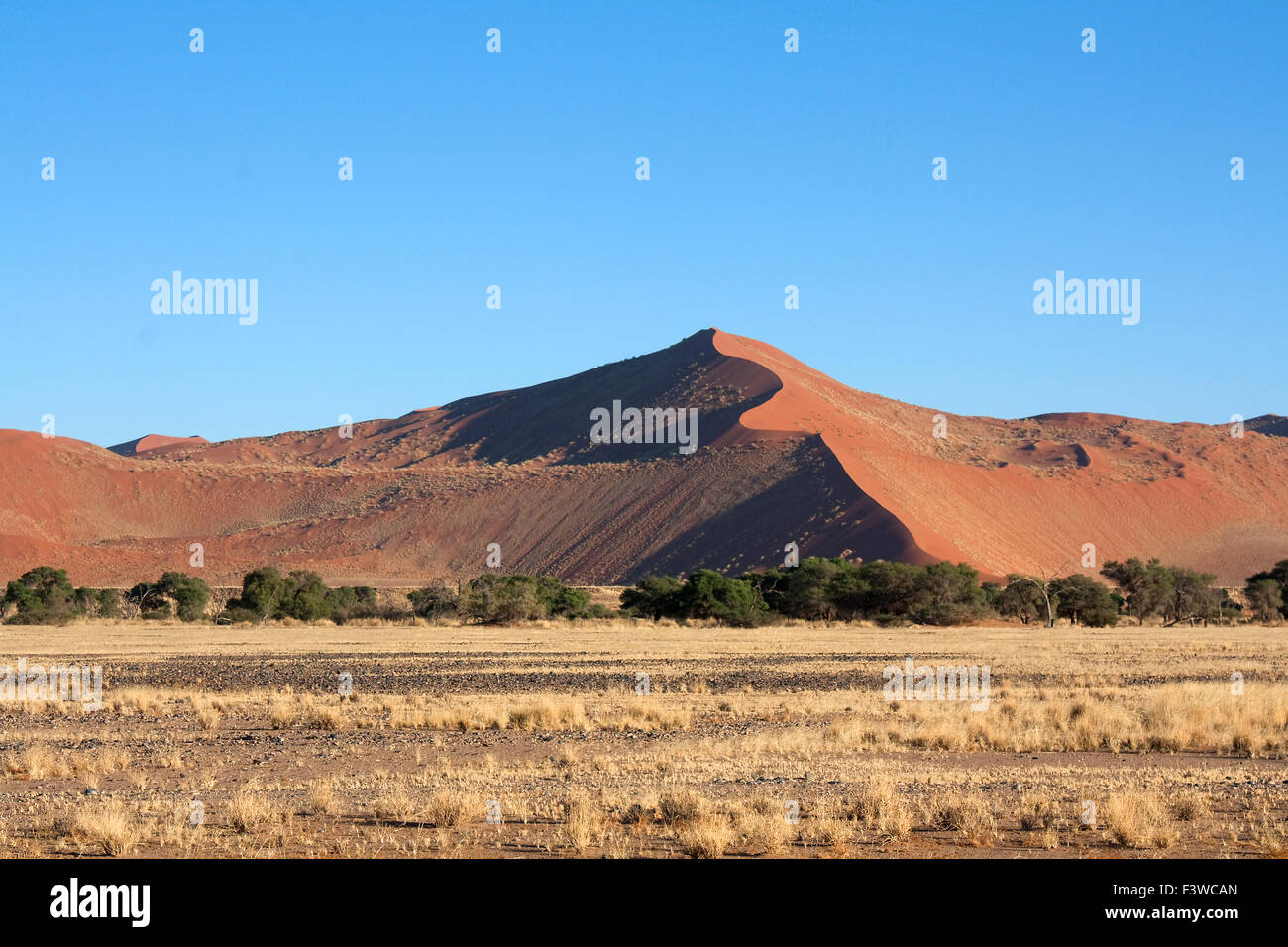 Landscape in namibia Stock Photo - Alamy