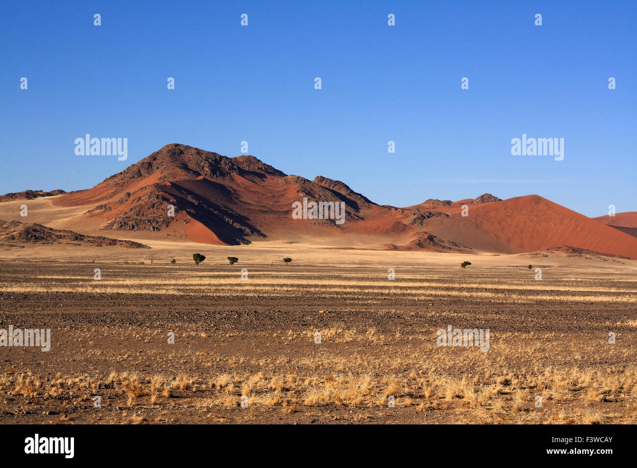 Landscape in namibia Stock Photo - Alamy