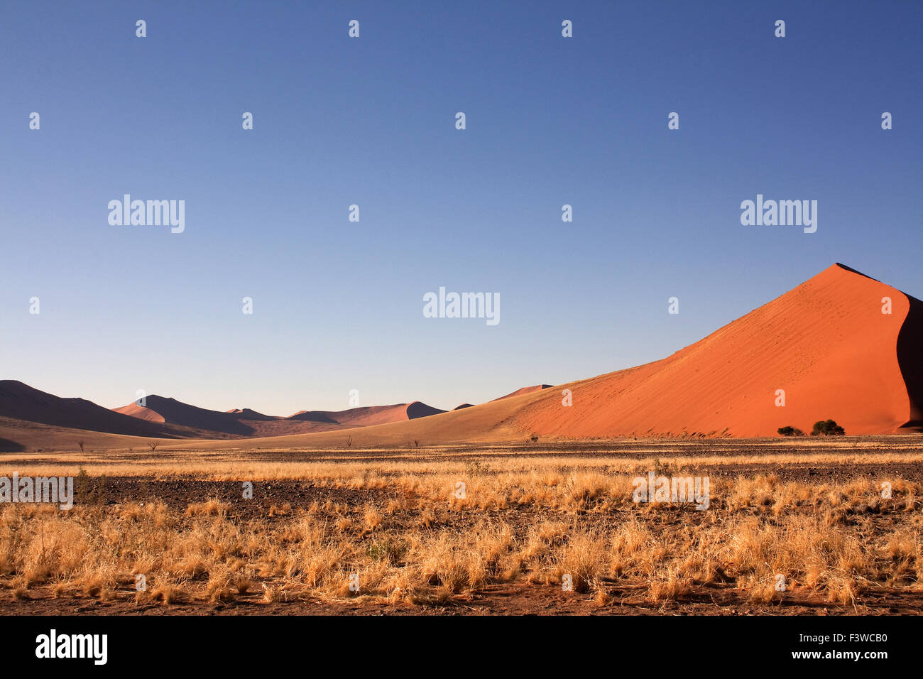 Landscape in namibia Stock Photo - Alamy