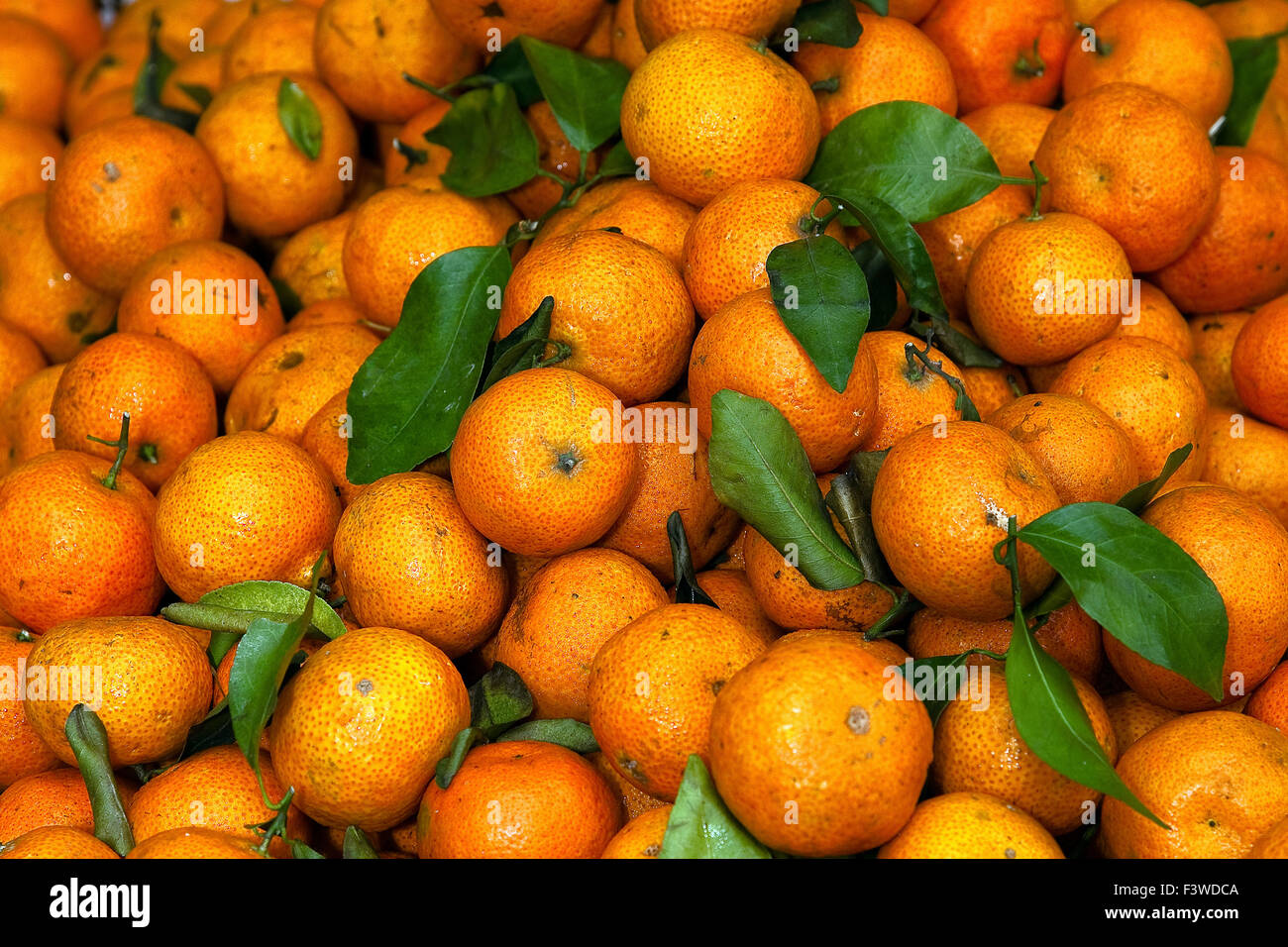 Oranges on the market in China Town Stock Photo - Alamy