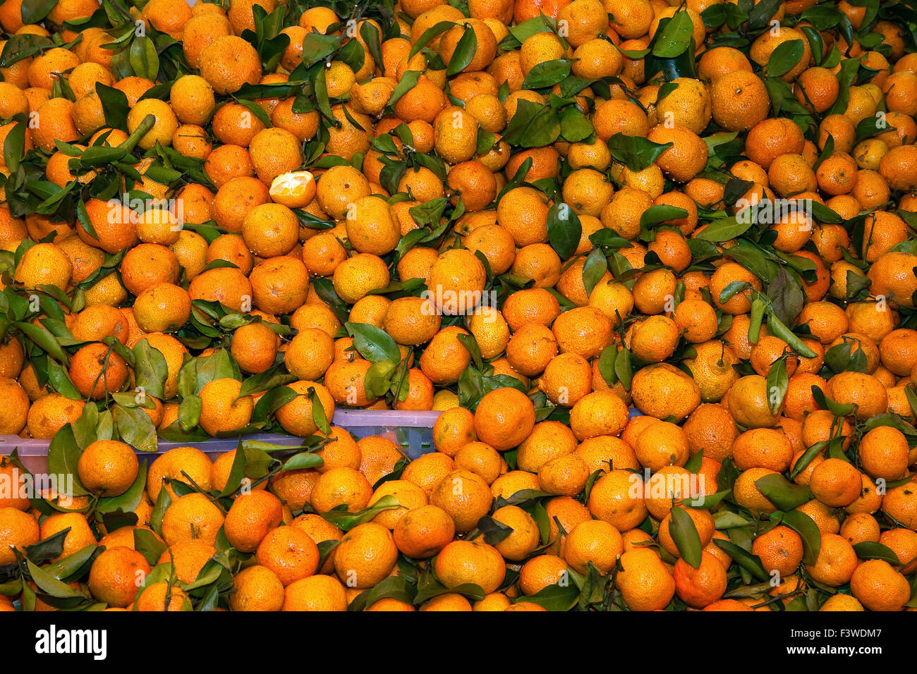 Oranges on the market in China Town Stock Photo - Alamy