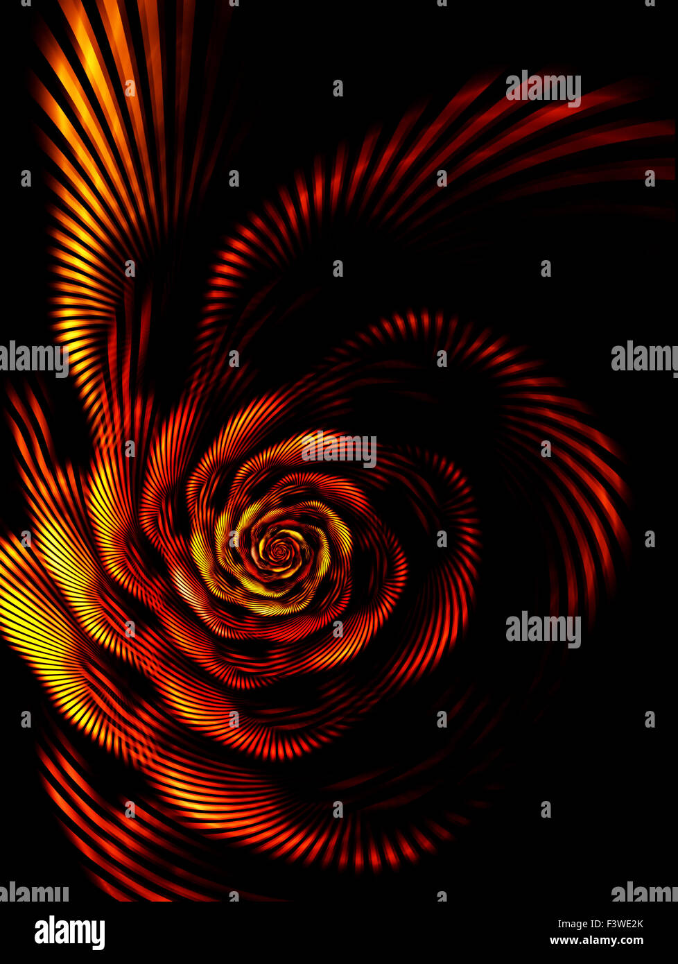 fiery rose, the flower of passion Stock Photo - Alamy