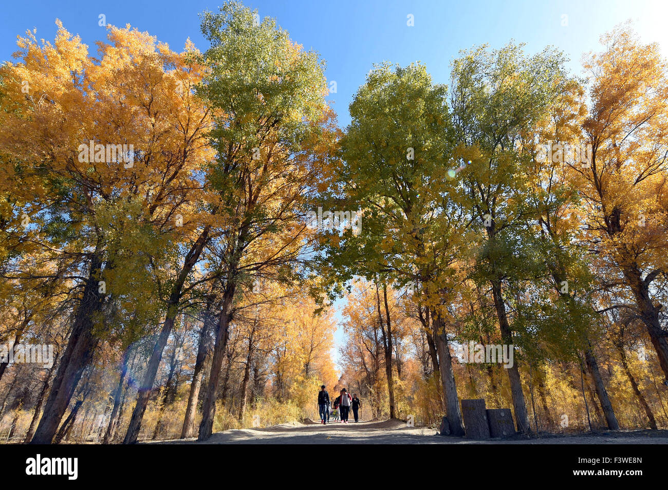 Jinta, China's Gansu Province. 13th Oct, 2015. Tourists visit the ...