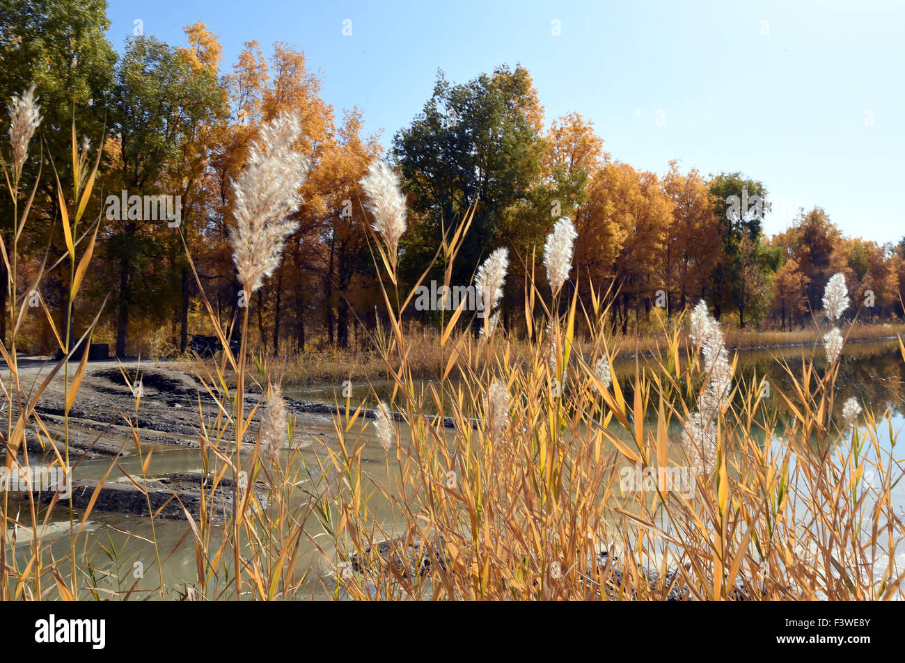 Jinta county hi-res stock photography and images - Alamy